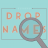 Drop Names ⌕ | 1.8-1.15.2 | Holographic names over drops | SpigotMC ...